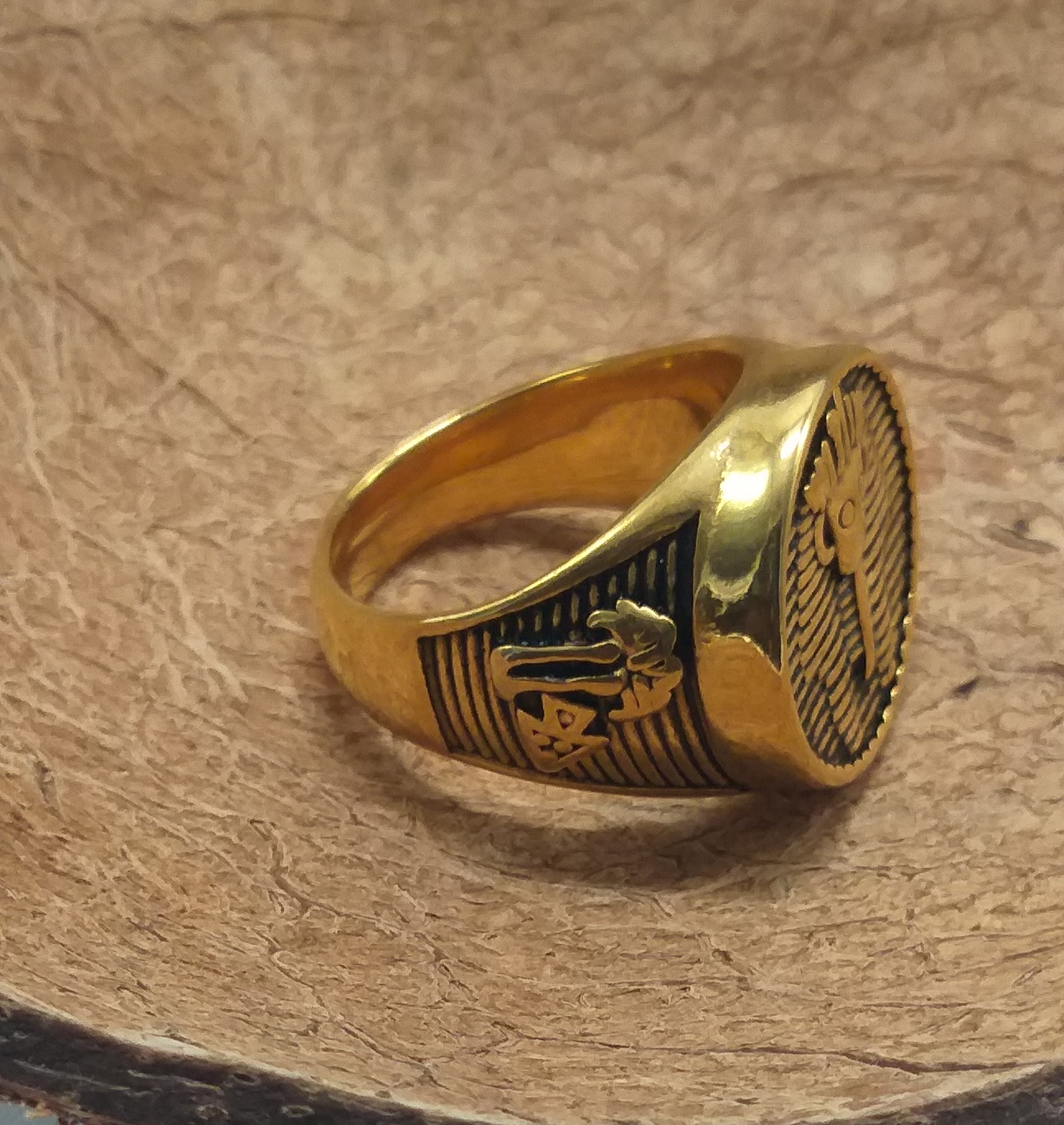 Pharaoh 18k Gold plated stainless steel Men`s Ring – Styles By TMO
